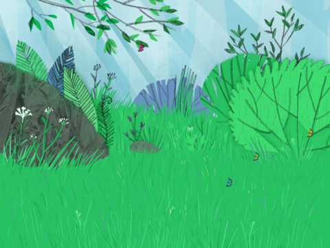 ZK20（保护色 蝴蝶）-V-侯老师编程网站(codinghou.cn) - Scratch编程教程与创作社区