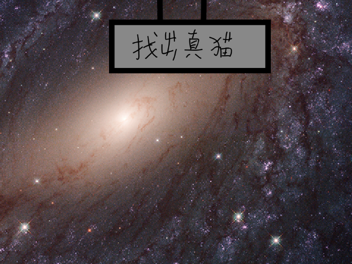 Scratch草稿 666 侯老师编程网站codinghoucn Scratch编程教程与创作社区